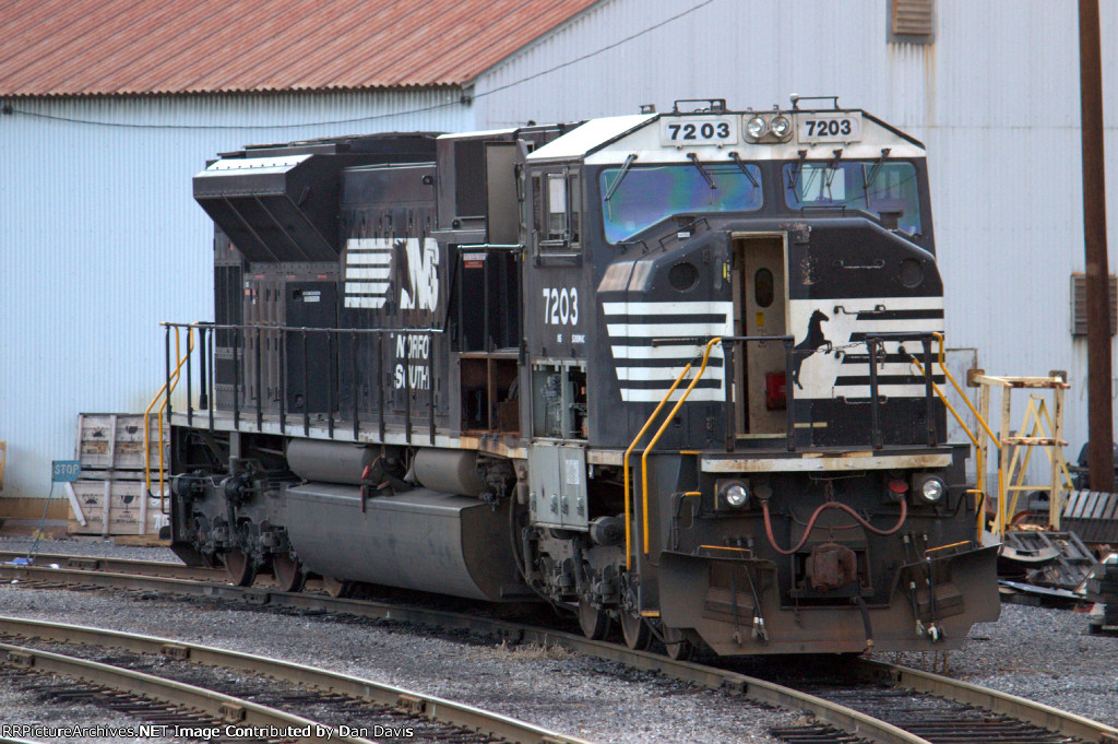 NS 7203